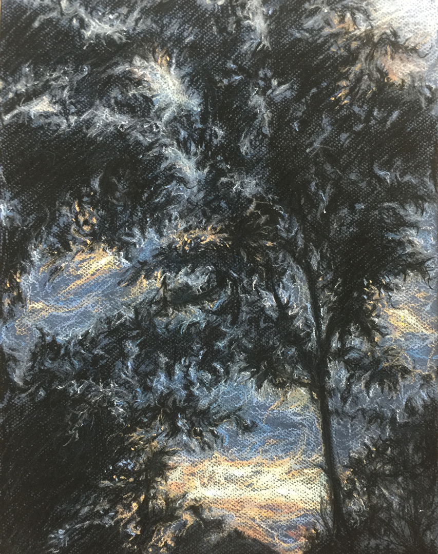 Art Kingdom of the Shell - Oam Studios Art Academy